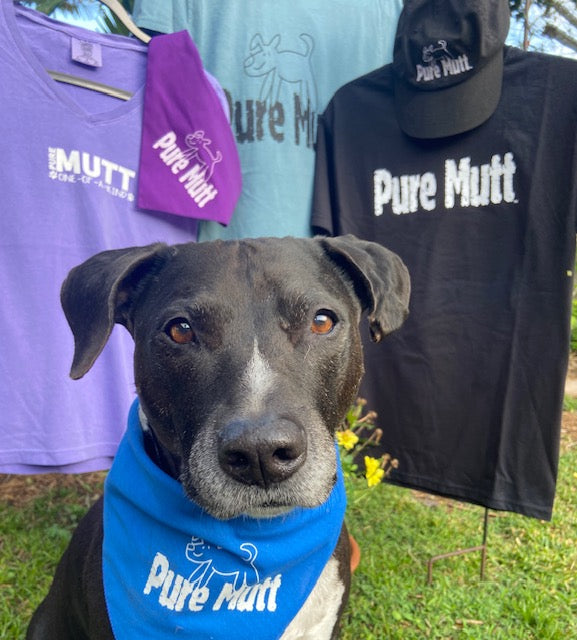 Unique Apparel and Accessories for You and Your Pure Mutt