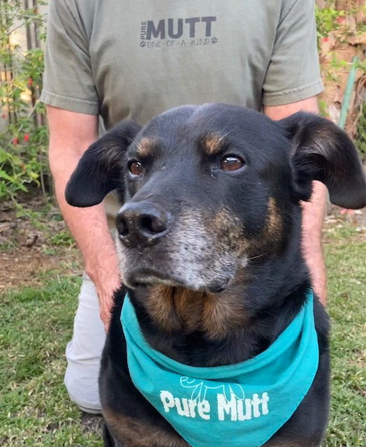 Unique Apparel and Accessories for You and Your Pure Mutt