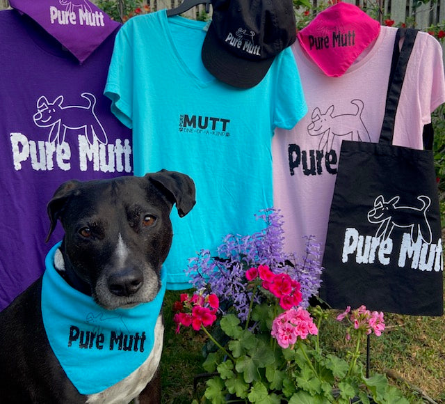 Unique Apparel and Accessories for You and Your Pure Mutt