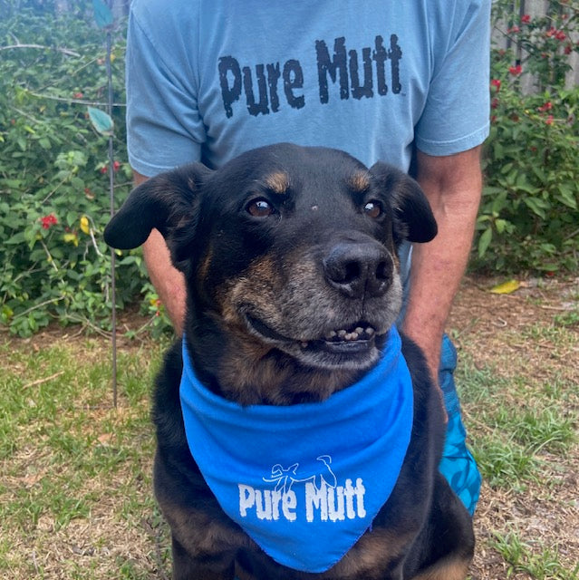 Unique Apparel and Accessories for You and Your Pure Mutt