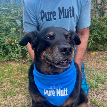 Unique Apparel and Accessories for You and Your Pure Mutt