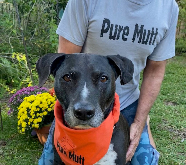 Unique Apparel and Accessories for You and Your Pure Mutt