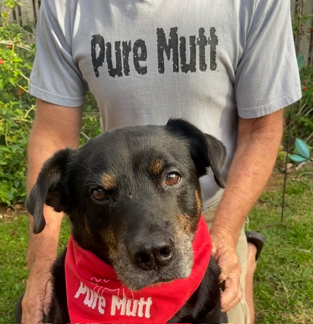 Unique Apparel and Accessories for You and Your Pure Mutt